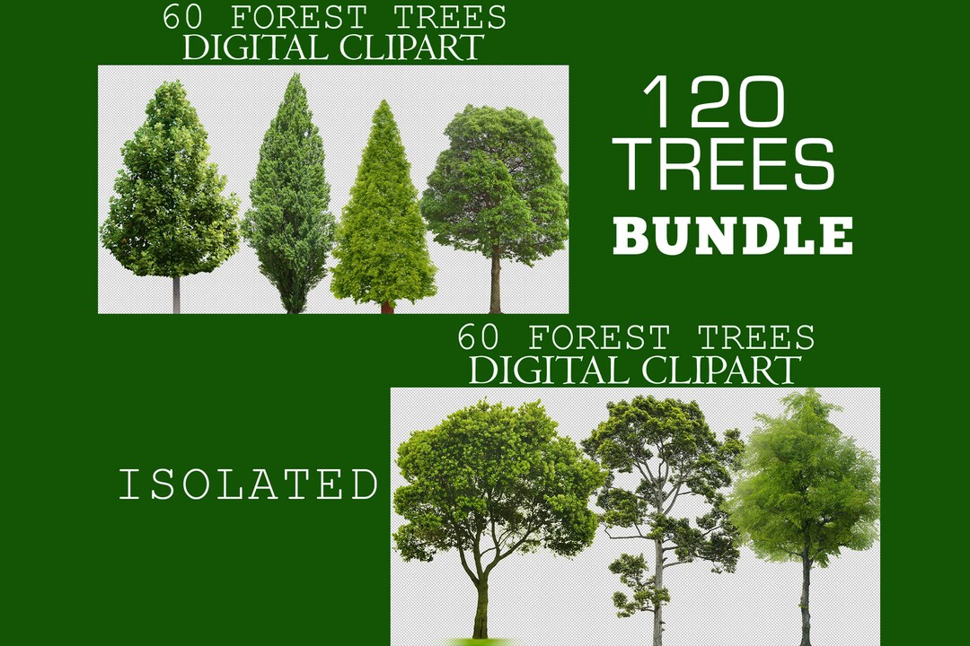 120 Forest Tress Clipart, Digital Tree Cut Out, Green Tree Photoshop ...