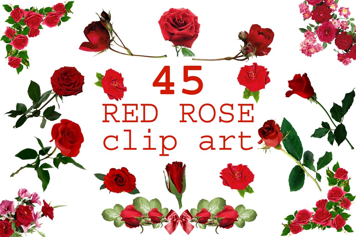 45 Red Rose Clipart Digital Red Roses Clipart Red Single | Etsy