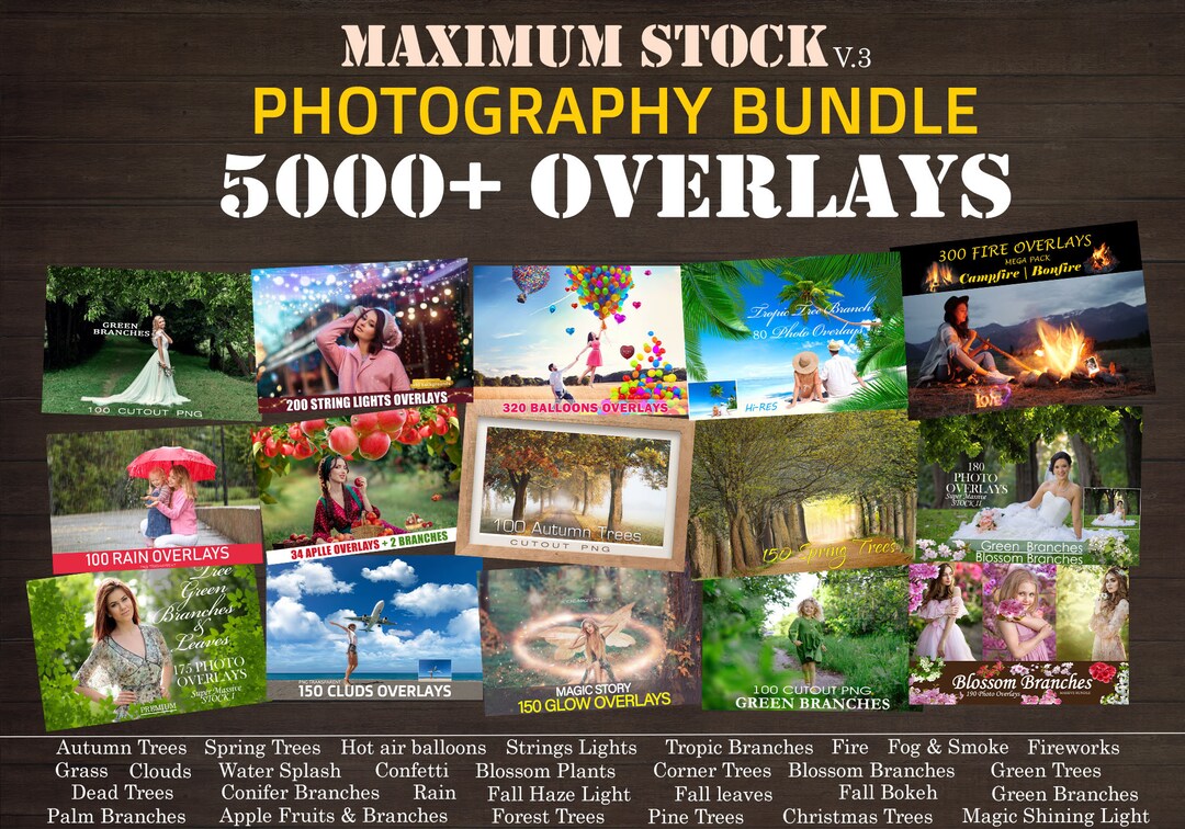 5000+ Photo Overlays MEGA Bundle, Autumn Branches, Spring Blossom ...