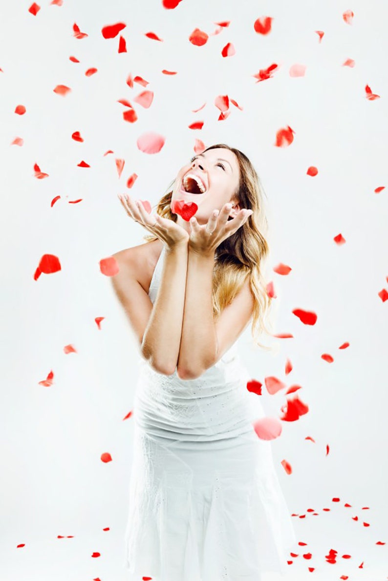 200 Falling Rose Petals Overlay for Photoshop Petals Red - Etsy