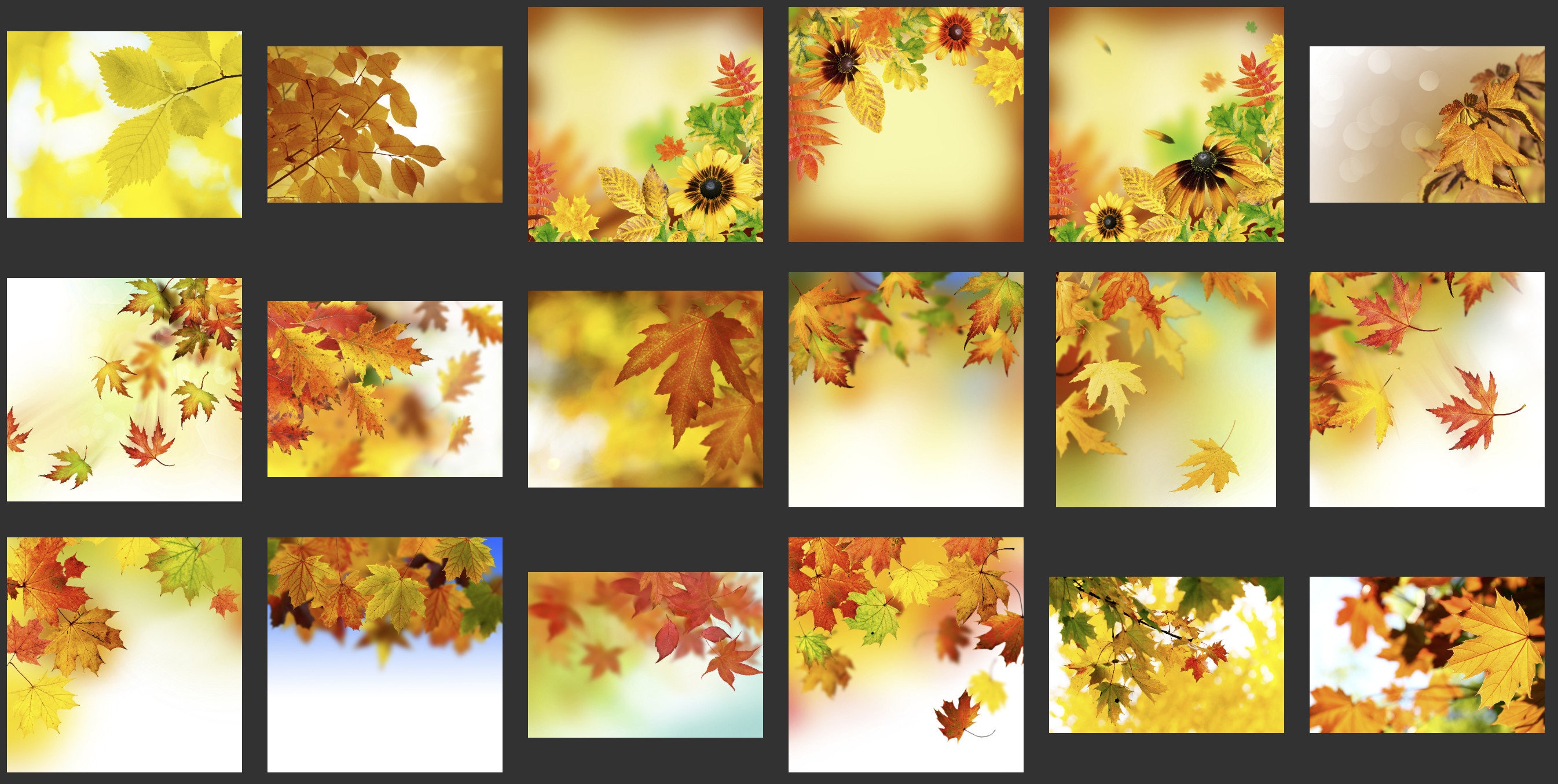 15 Fall Leaves Background Photoshop Overlays Fall Overlays - Etsy