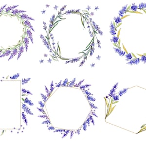 Bundle Watercolor Lavender Overlays, Lavender Spring, Lavender Flowers ...