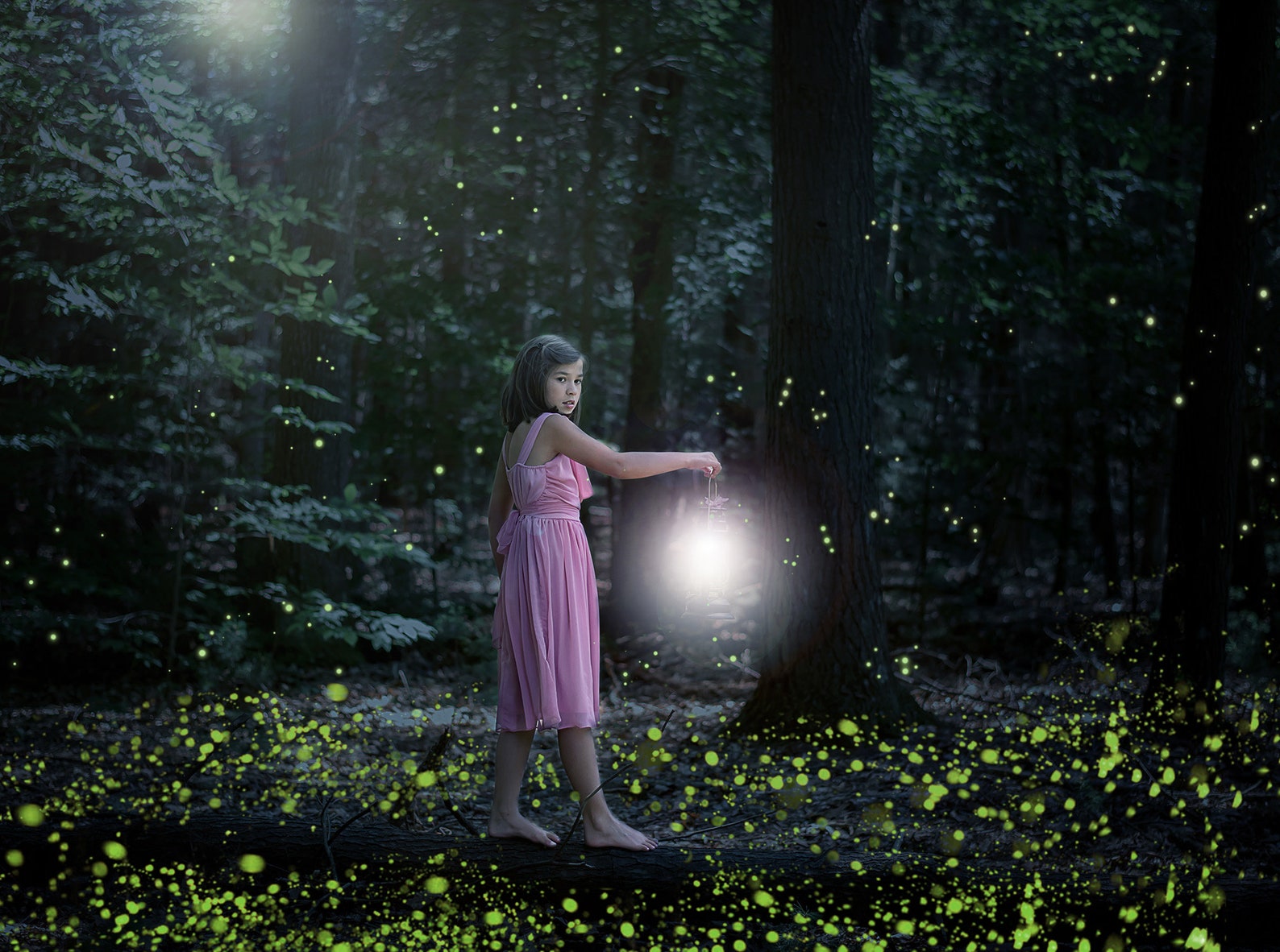 200 Magic Firefly Photo Overlays Fireflies Photoshop Overlay - Etsy