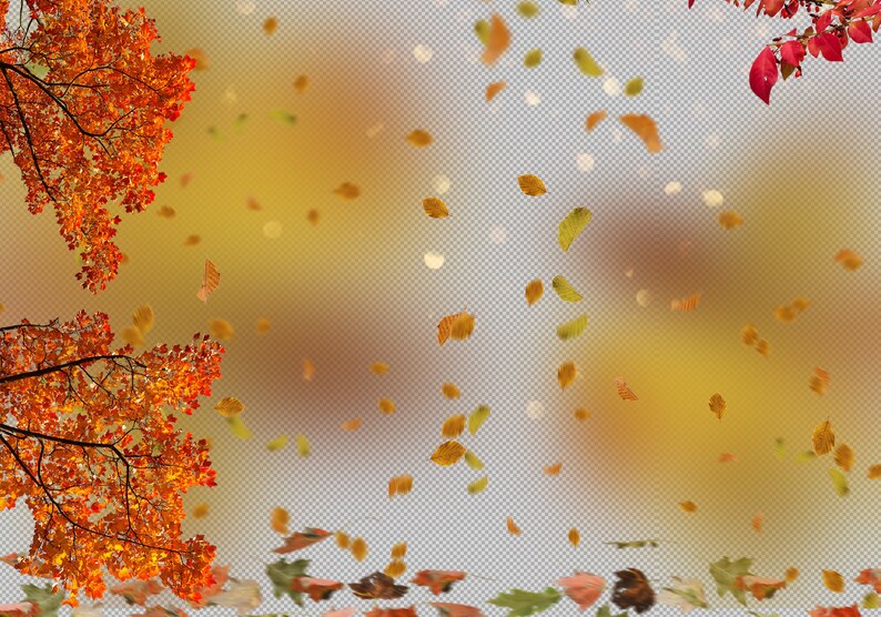 500 Autumn Leaves Photo Overlays Falling Leaves Fall Leaves - Etsy