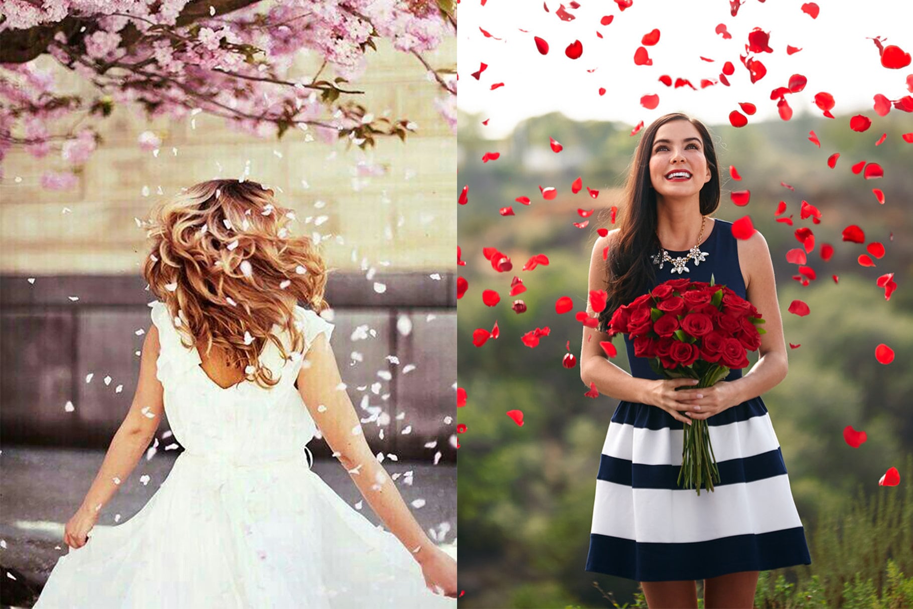 350 RED Rose Petals Overlays for Photoshop, Petals Red Overlay ...