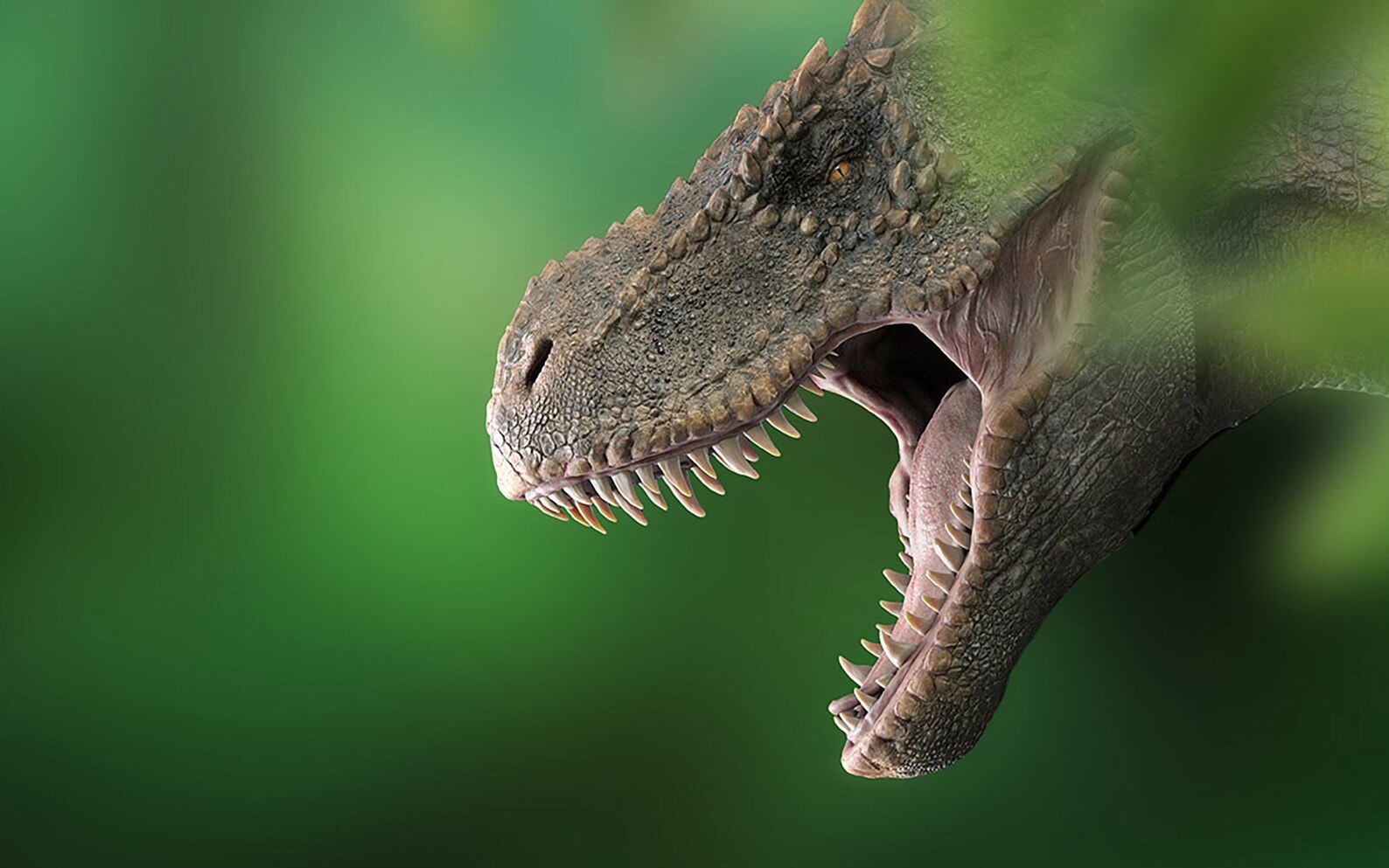 9 Dinosaur Digital Backdrop T Rex Rex Dinosaur Background Etsy