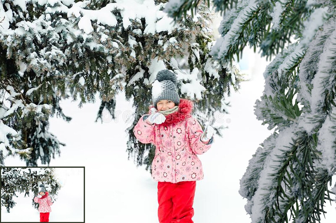 70 Fir Tree Branches Photo Overlays Branches Clipart - Etsy