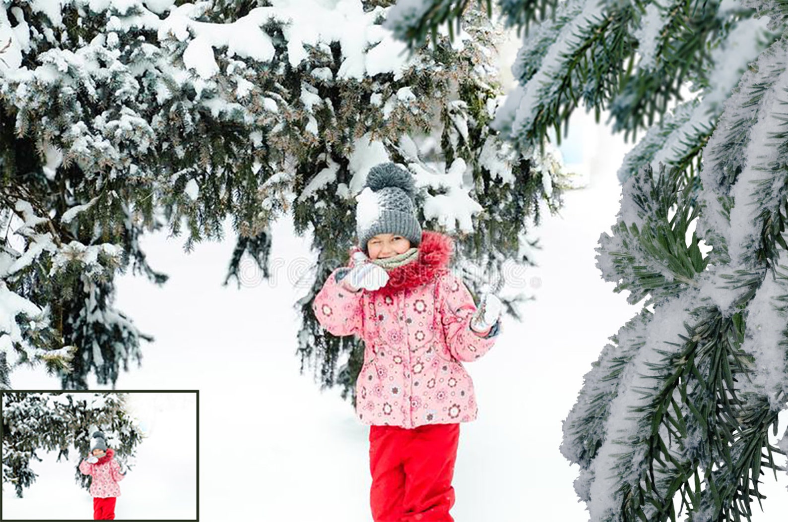 70 Fir Tree Branches Photo Overlays Branches Clipart - Etsy