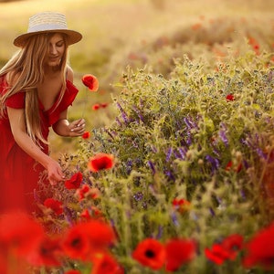 120 Wild Poppies Photo Overlays for Photoshop, Shooting Through the ...