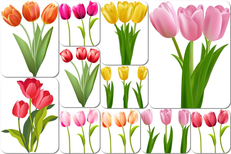 25 Digital Tulips Clipart Spring Flower Clip Art Floral - Etsy