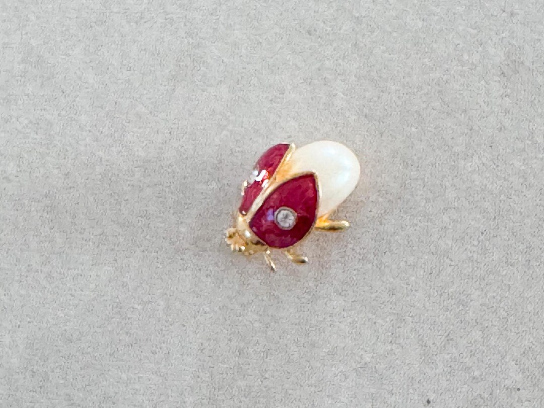 Vintage Ladybug Pin Etsy