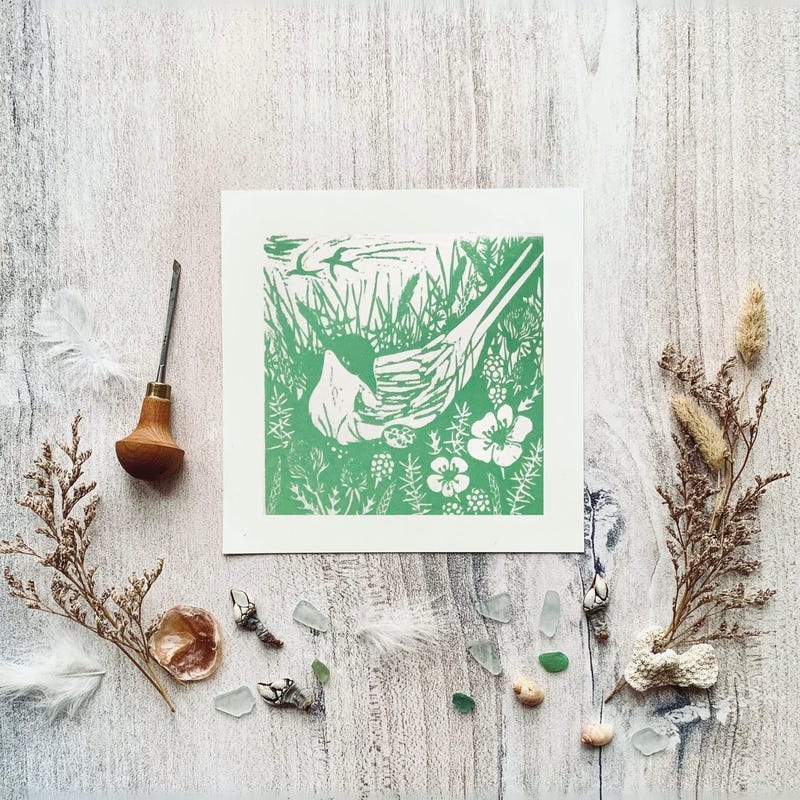 Arctic Tern - Etsy