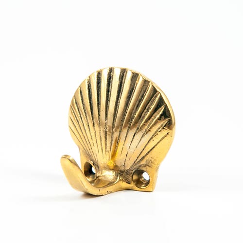 Brass Beach Seashell Clamshell Hook Large Size - Etsy