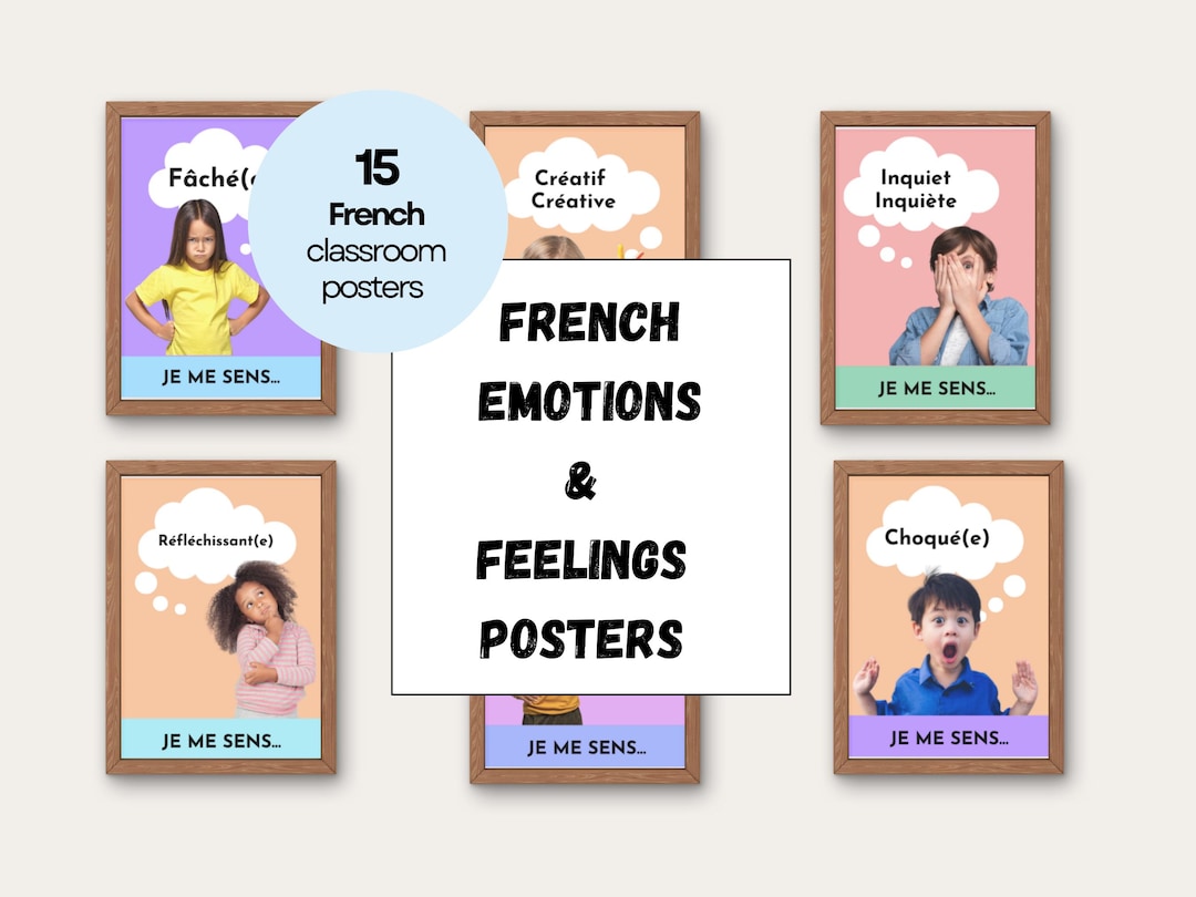 15 French Emotions and Feelings Posters, French Classroom, French ...