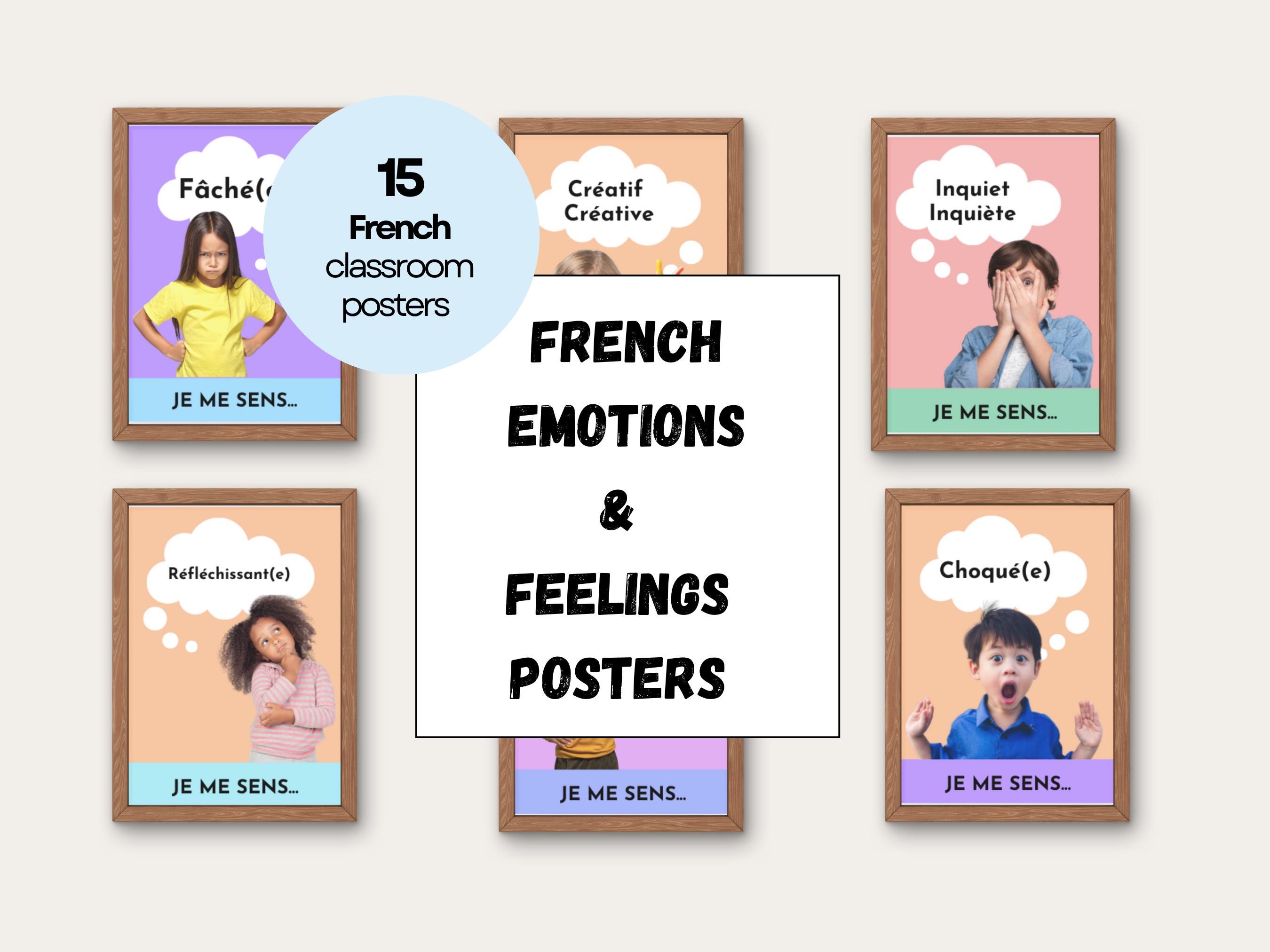 15 French Emotions and Feelings Posters, French Classroom, French ...