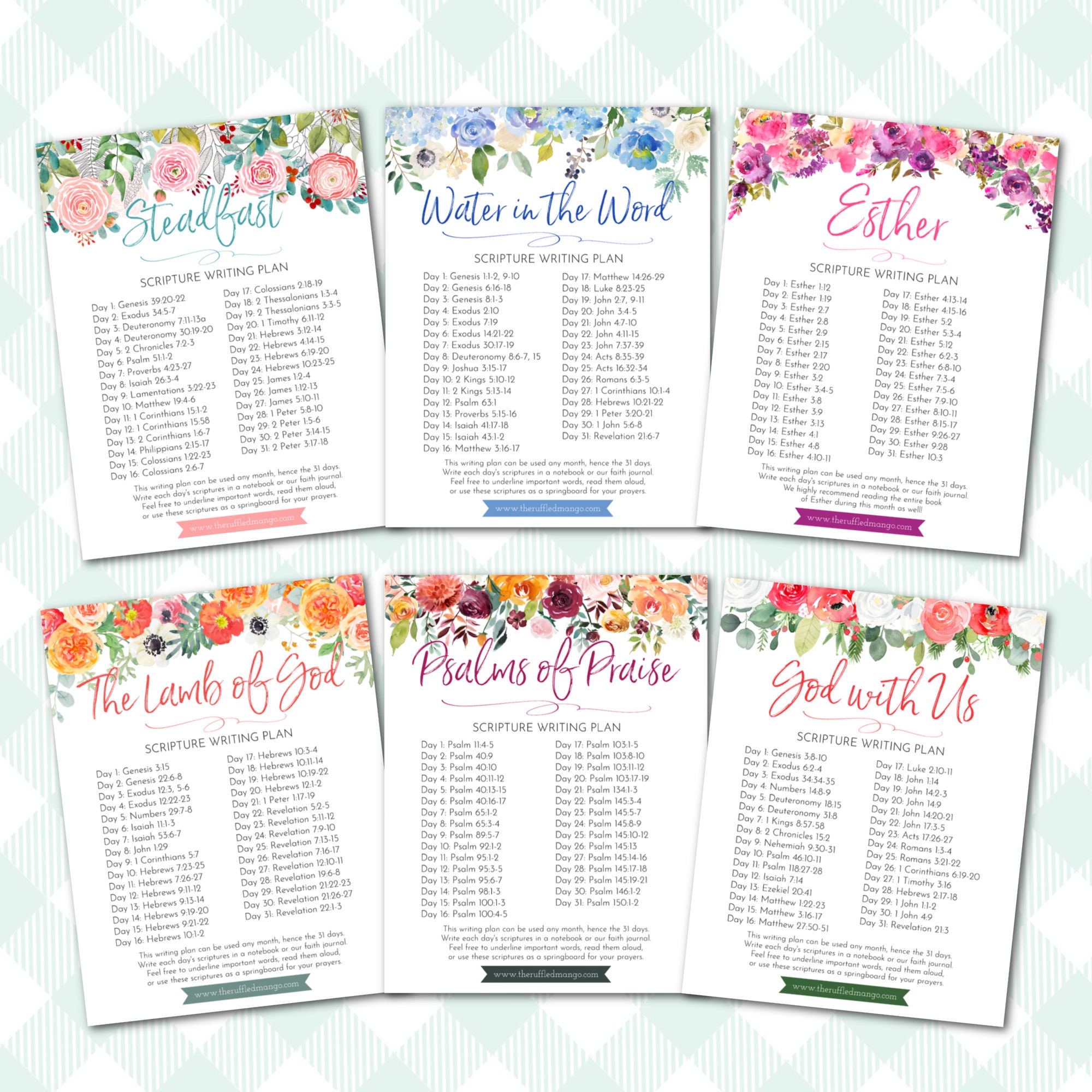 2023 Radiant Scripture Writing Plans digital Download GROUP RATE - Etsy