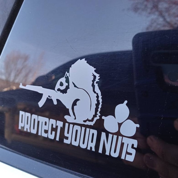 Squirrel Wall Decal - Etsy