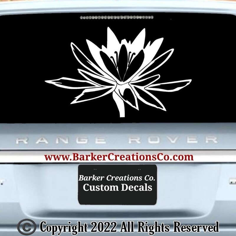 Bitterroot Flower - Etsy