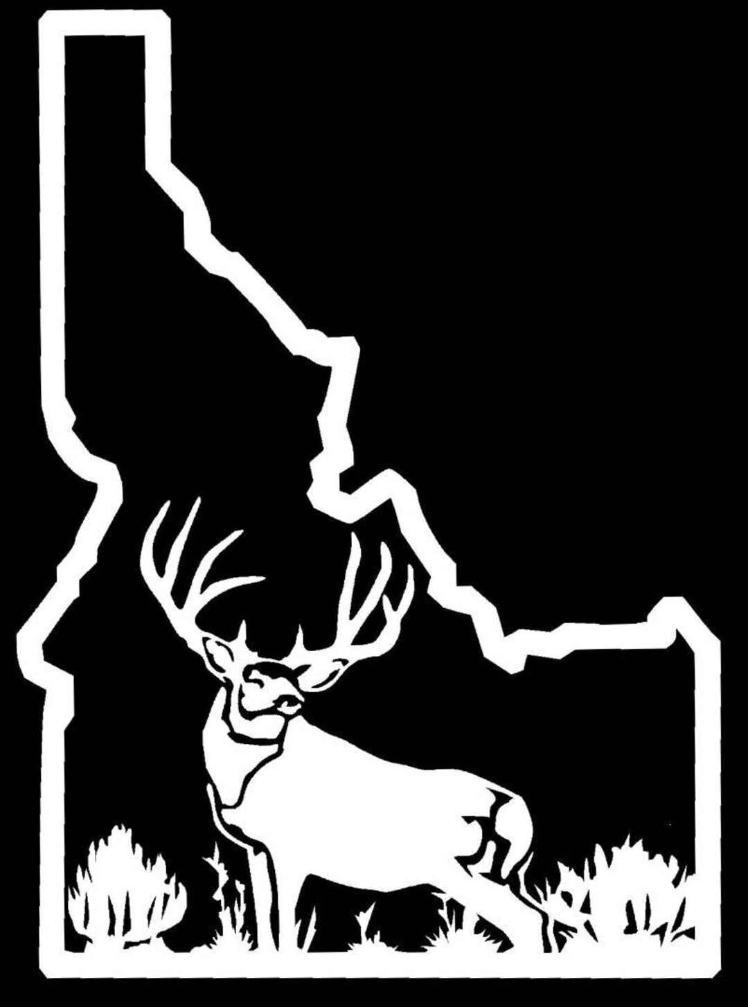 Idaho Deer - Idaho Muley Deer - ID Outdoor - Wildlife - Hunting ...