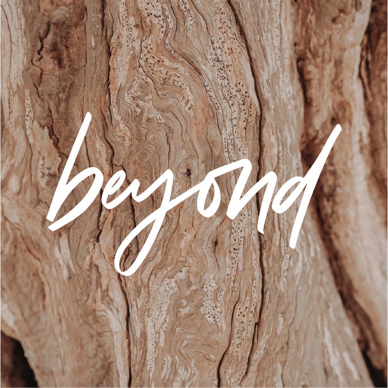 Beyond Logo Set Premade Hand Drawn Logo Boutique Design-hand Drawn Logo ...