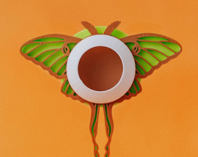 Luna Moth Spider Hide - Etsy