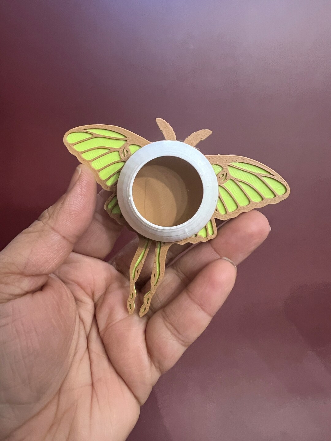 Luna Moth Spider Hide - Etsy