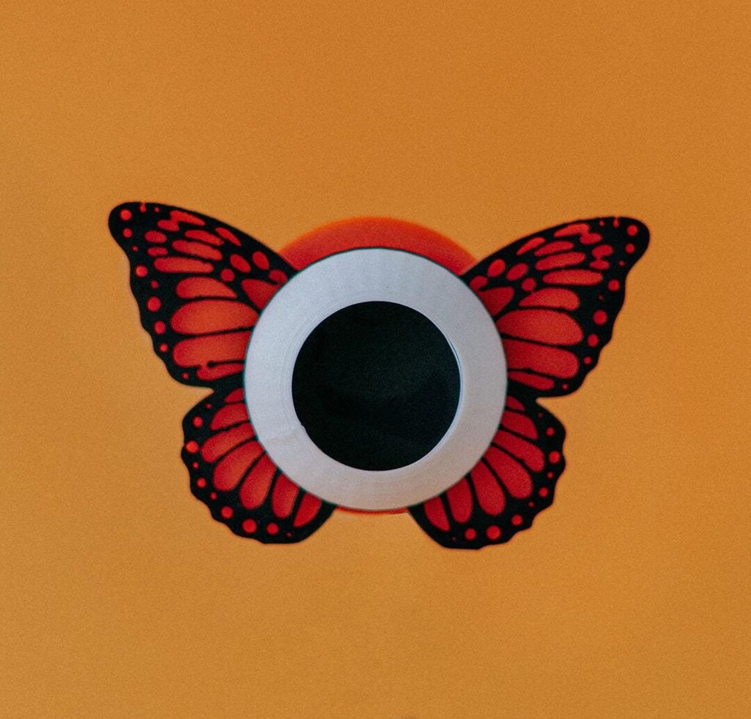 Monarch Butterfly Spider Hide - Etsy