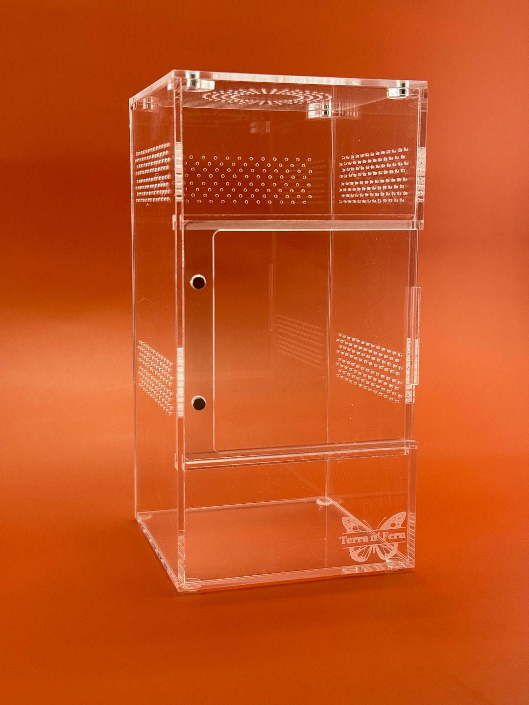 Adult Jumping Spider Enclosure - Etsy