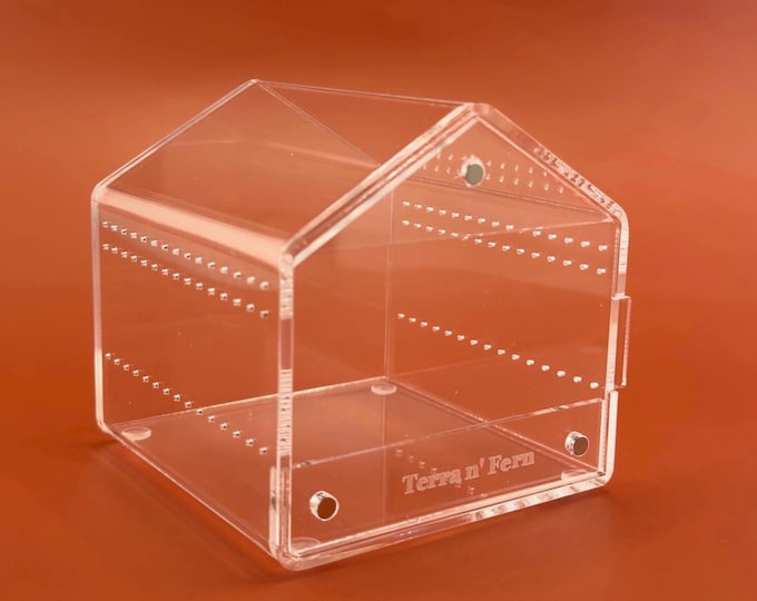 Mini Casita Acrylic Spider Enclosure - Etsy