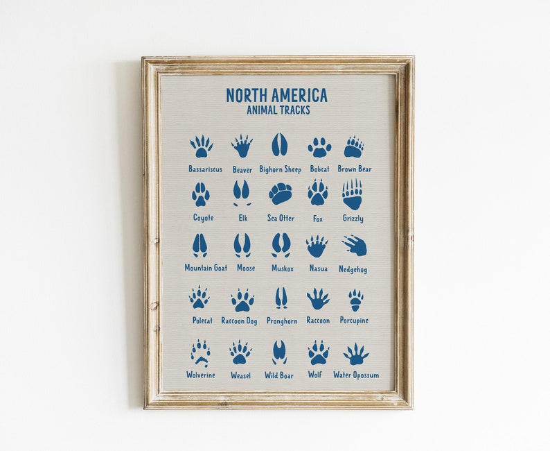 North America Animal Tracks Print Set of 2, Animal Footprint Poster ...