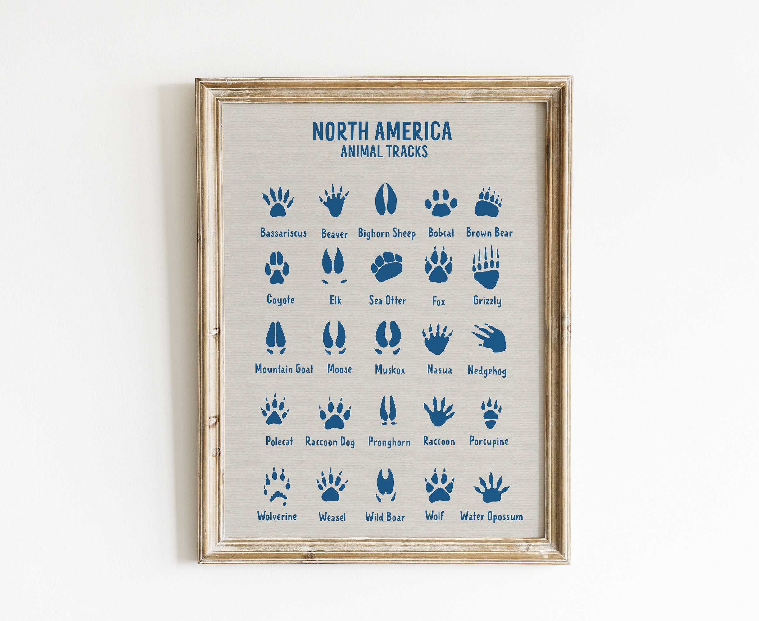 North America Animal Tracks Print Set of 2, Animal Footprint Poster ...