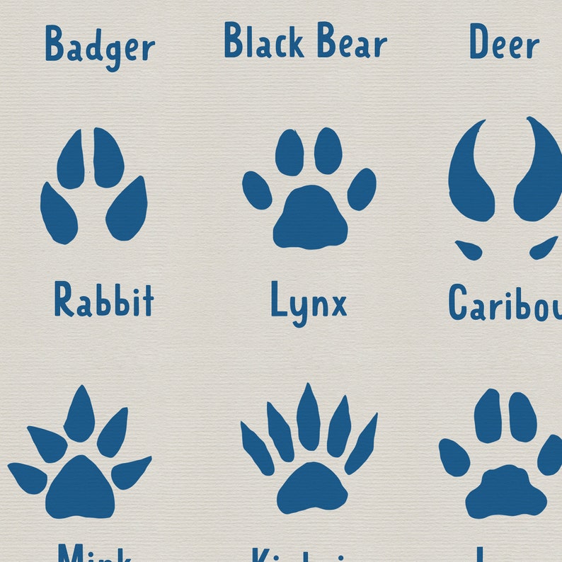 North America Animal Tracks Print Part I, Animal Footprint Poster ...