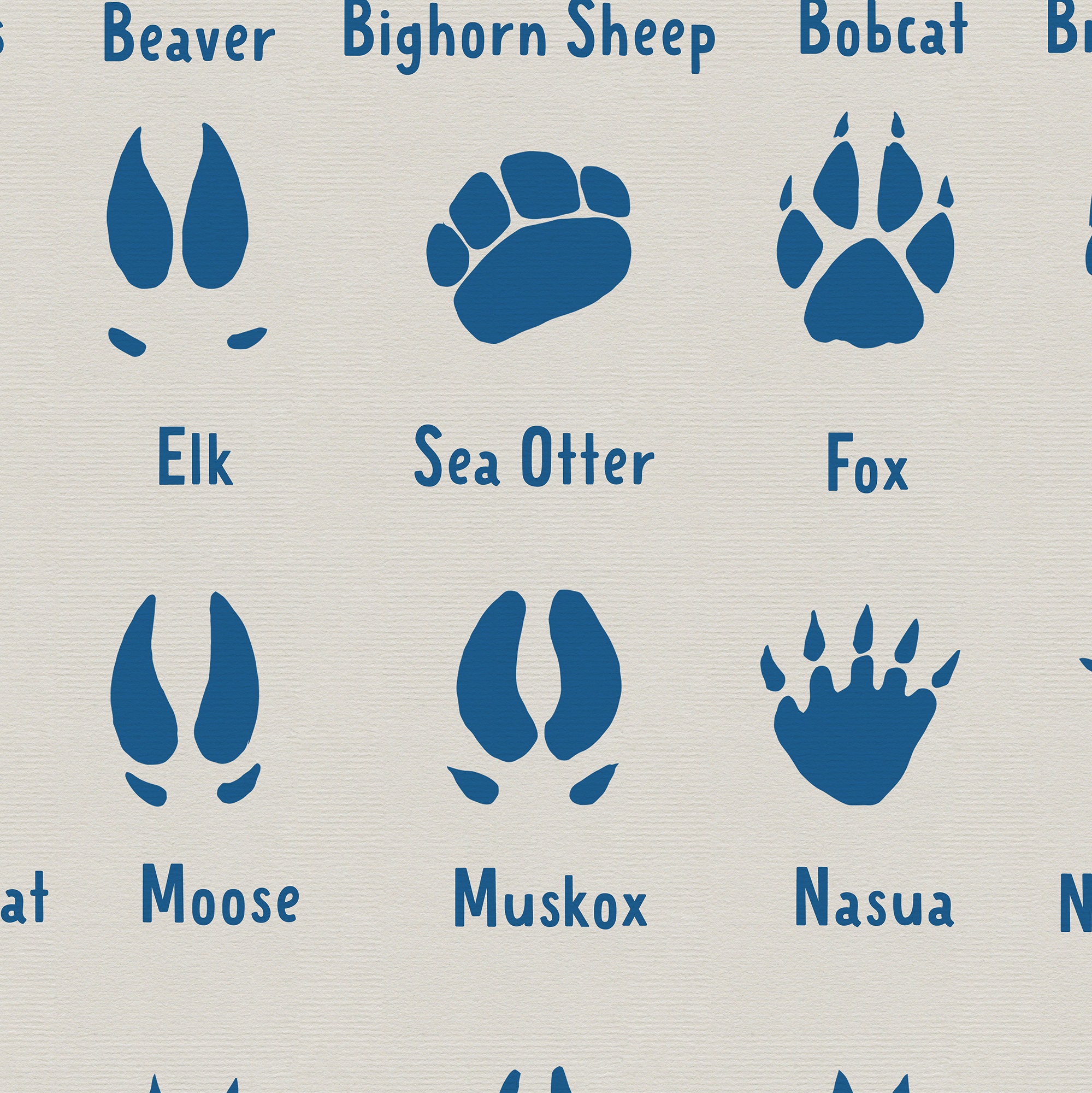 North America Animal Tracks Print Set of 2, Animal Footprint Poster ...