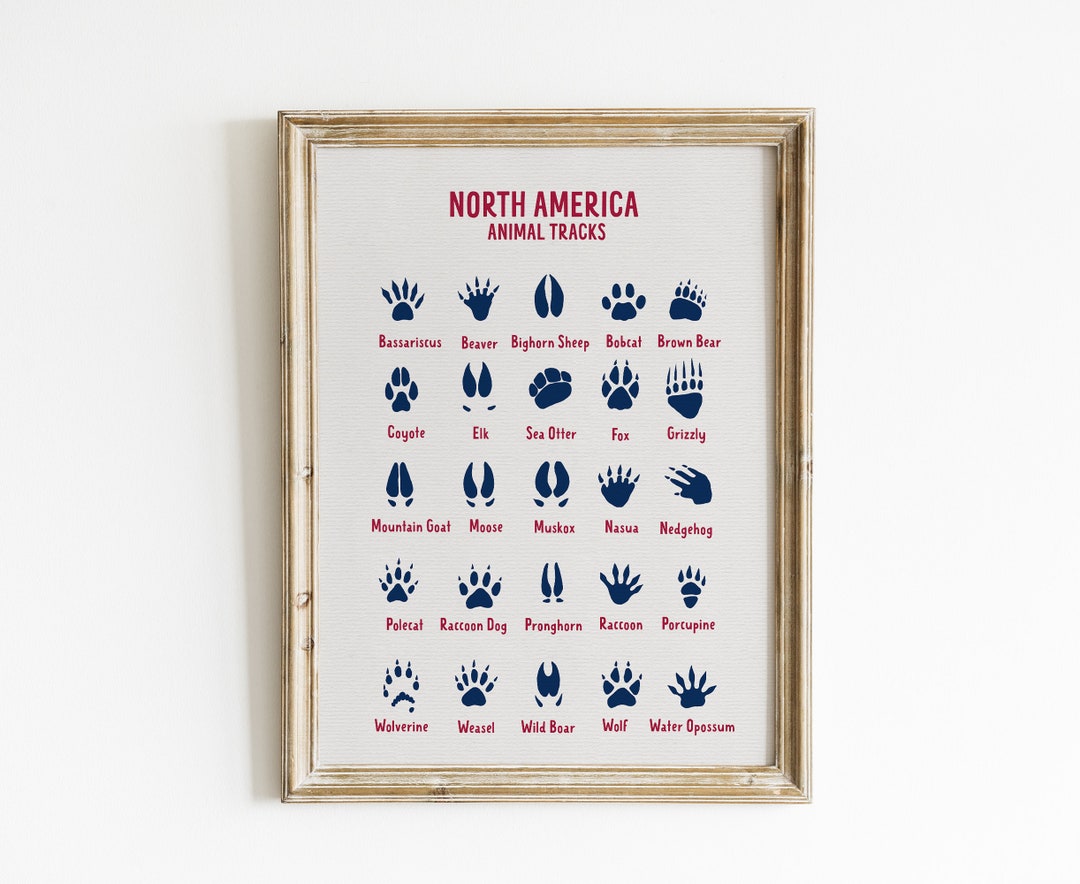 North America Animal Tracks Prints- Part II, Watercolor Animal ...