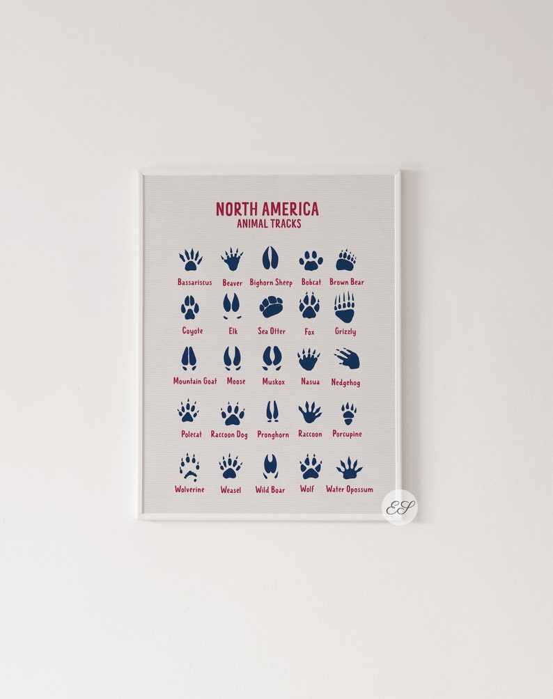 North America Animal Tracks Prints- Part II, Watercolor Animal ...