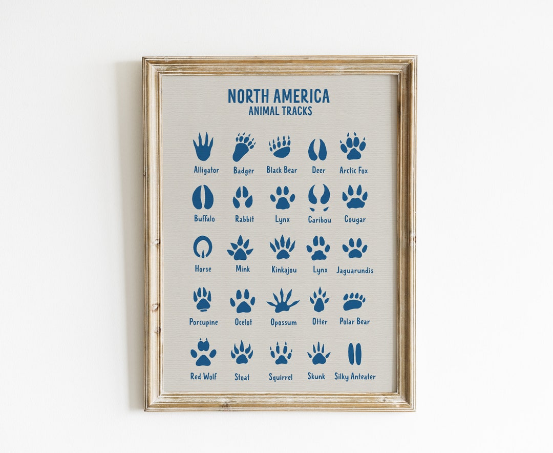 North America Animal Tracks Print Part I, Animal Footprint Poster ...