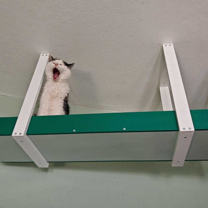 Cat Walk Furniture - Etsy