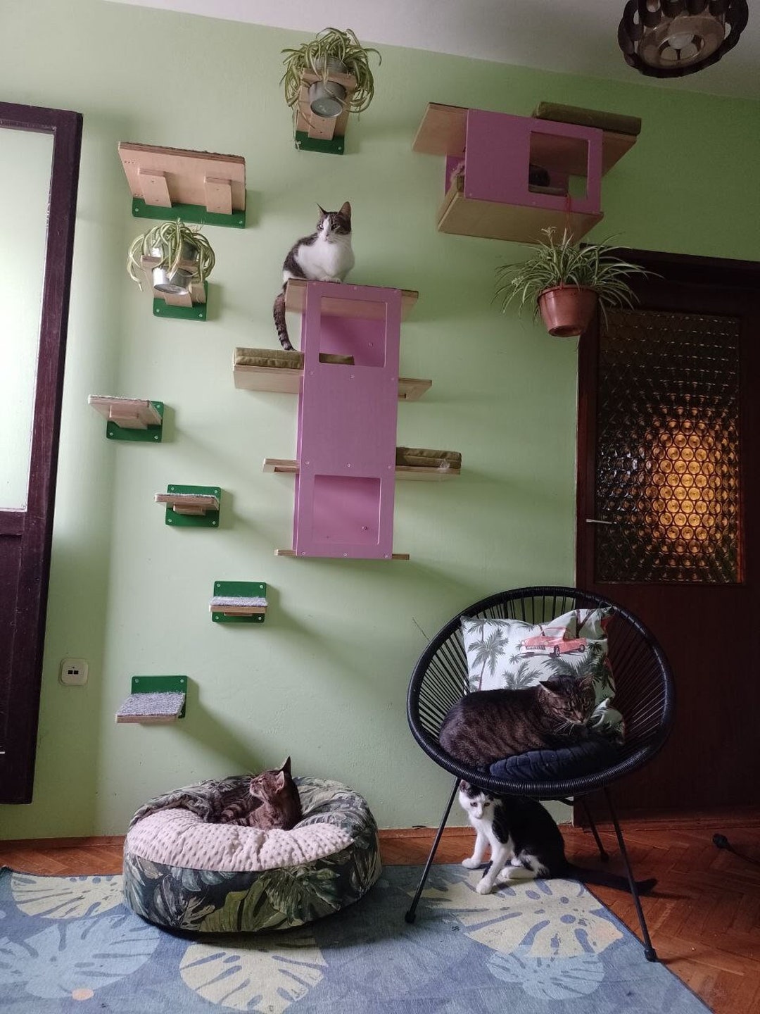 Wally Stacker, Cat Shelf, Wall Mounted Cat Bed, Cat Perch, Cat Box, Cat ...