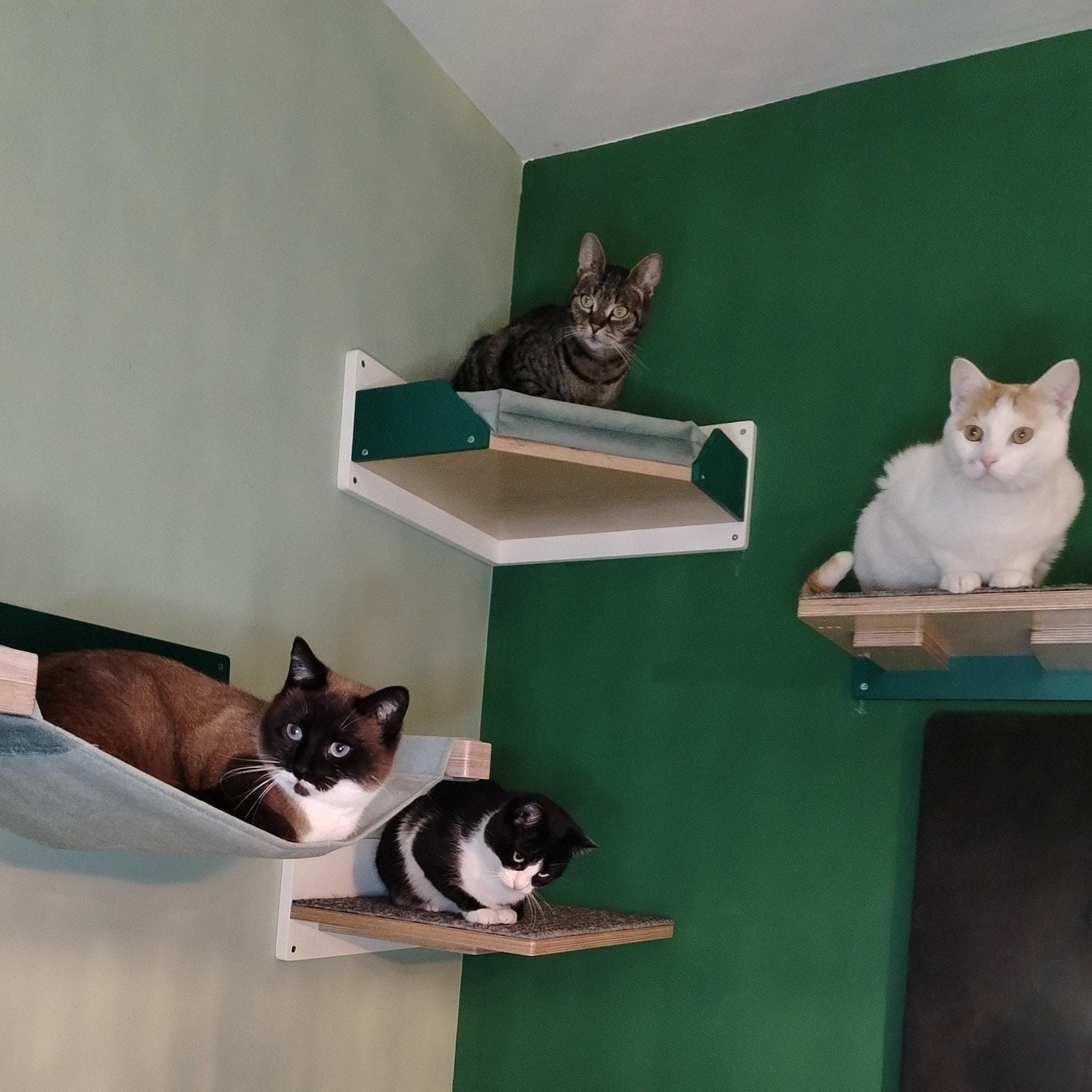 Wally Bigcat Corner Plus - L Wall-mounted Cat Corner Shelf With Cushion ...