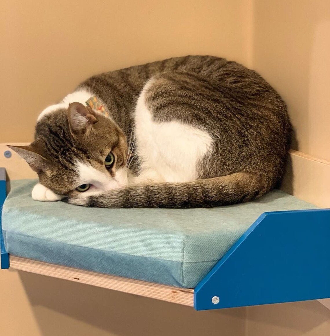 Wally Corner Plus Wall Mounted Cat Corner Shelf With a - Etsy