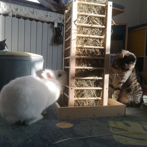 Nibbler Haytower, Bunny, Rabbit, Hay Holder, Hay Tower, Hay Stand, Hay ...