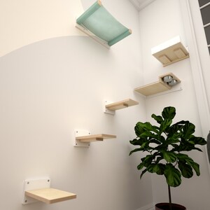 Wally Corner Feeder Bundle - Wally 1-step, Cot, Flat Feeder, Flat Plus ...