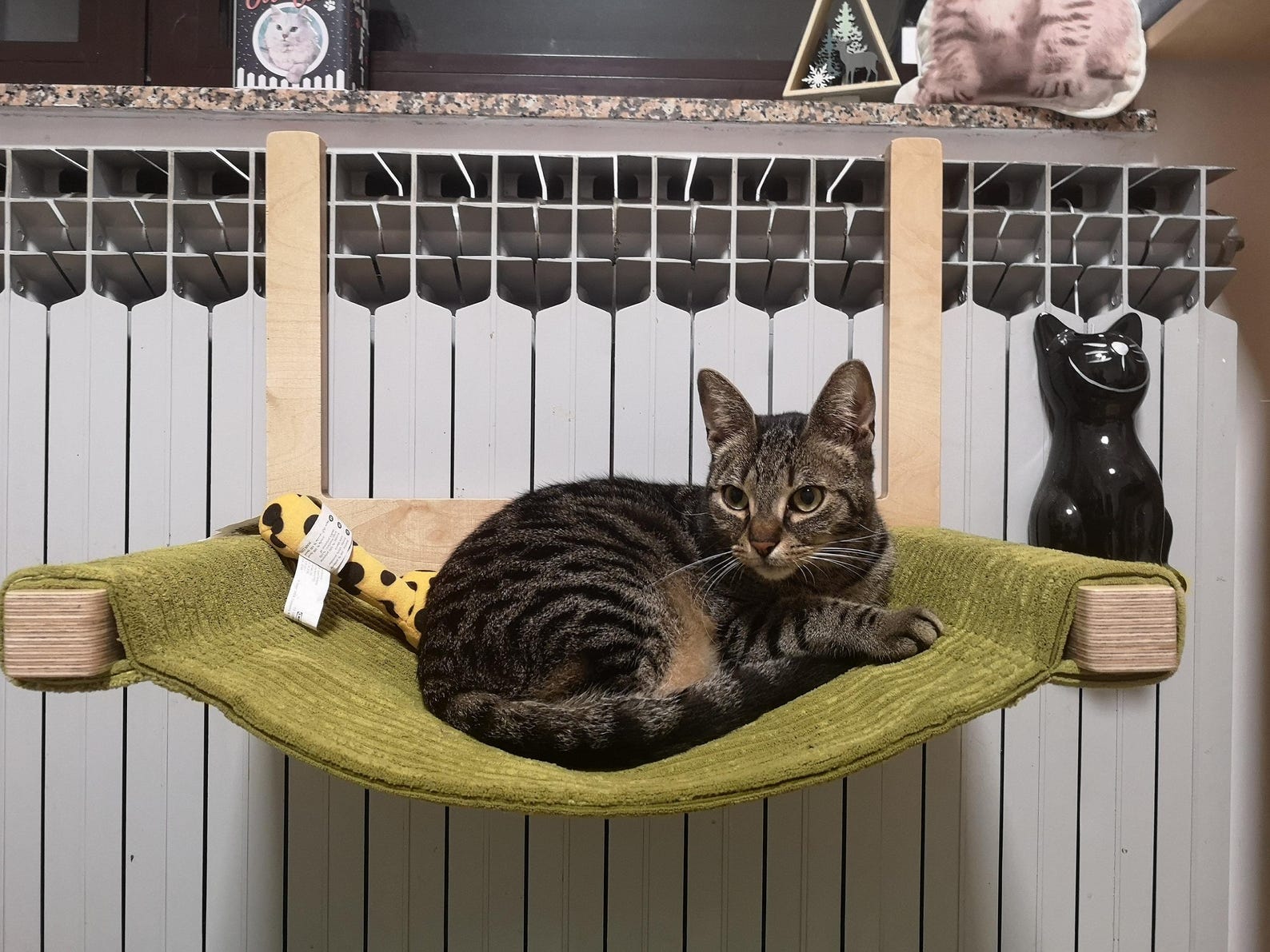 Toasty Cot, Cat Radiator Bed, Cat Hammock, Cat Radiator Cradle, Cat ...