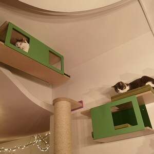 Wally Tunnel Top, Cat Shelf, Cat Floating Shelf, Ceiling Mounted Cat ...