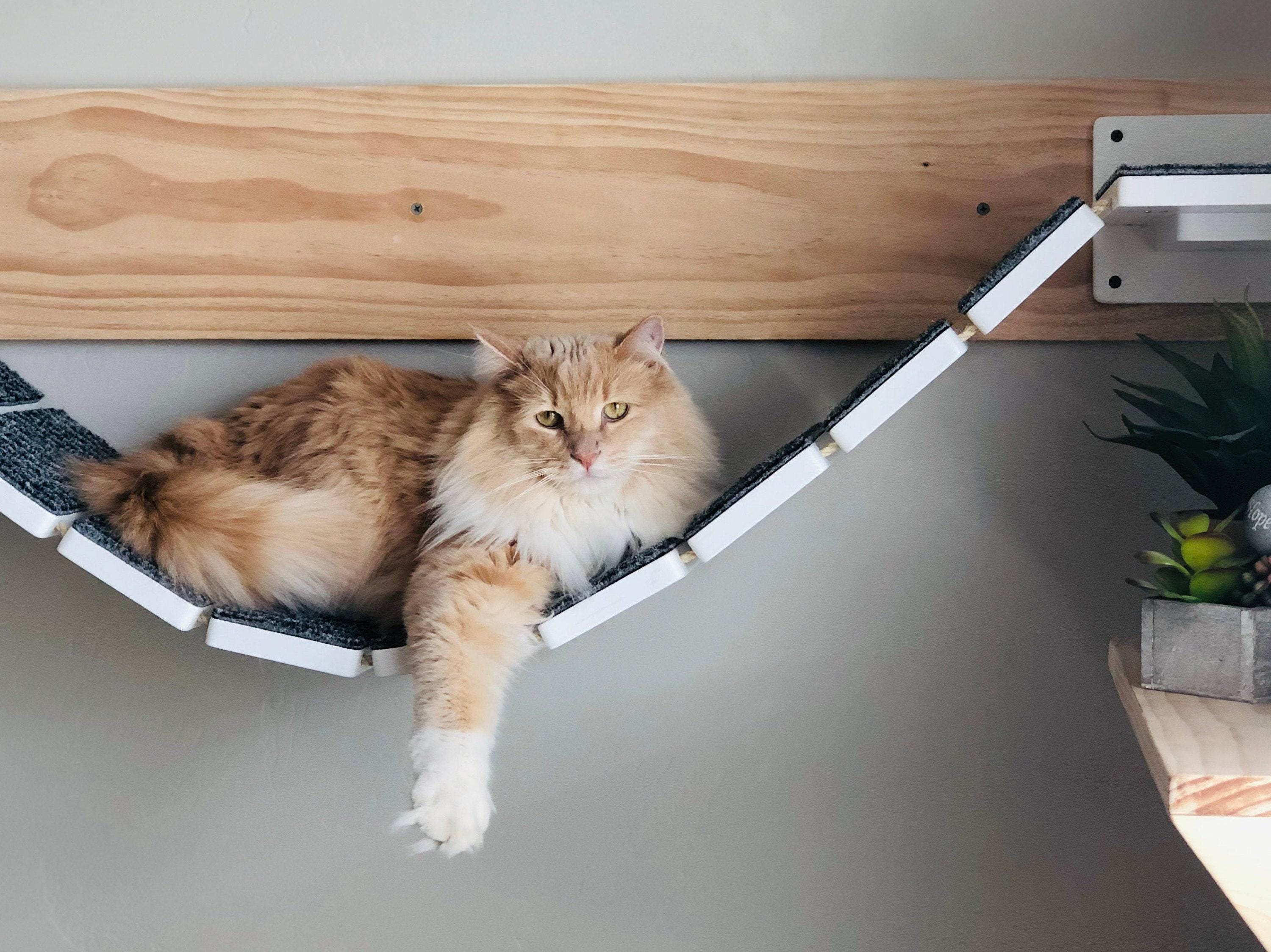 Wally Widebridge (1step - Flat Mount), Cat Bridge, Wall Mounted, Cat ...