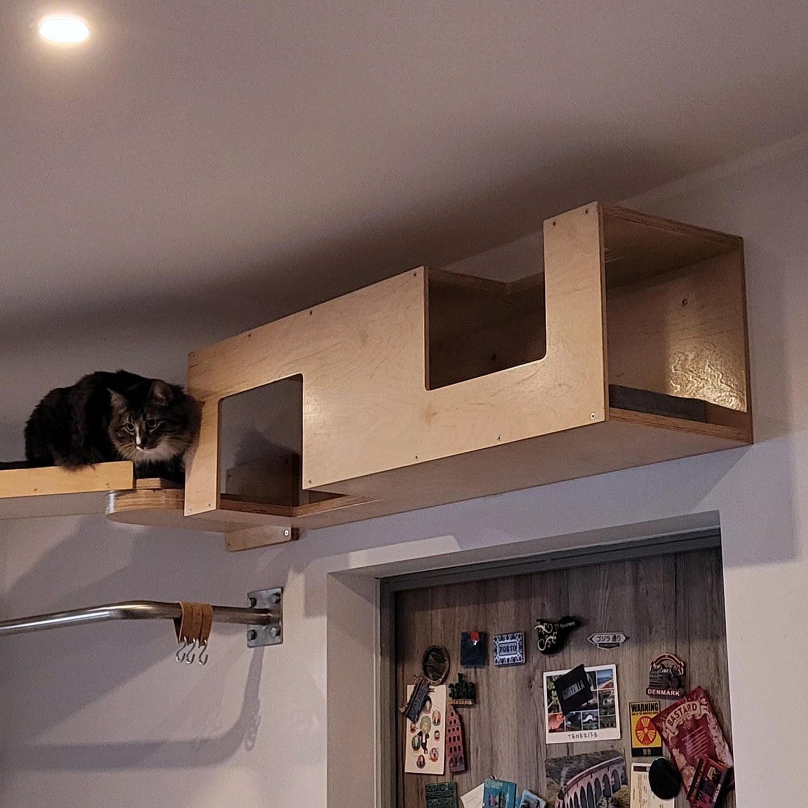 Wally Mezzanine, Cat Shelf, Cat Floating Shelf, Wall Mounted Cat Bed ...