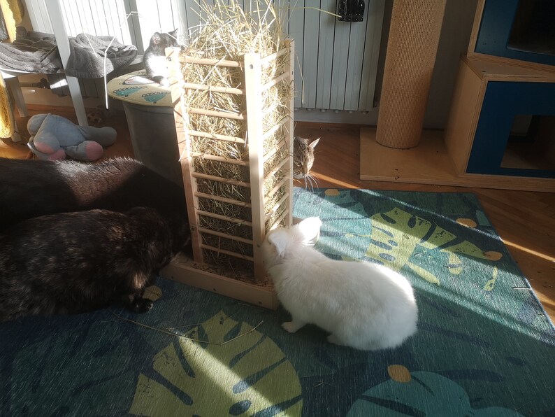 Nibbler Haytower Bunny Rabbit Hay Holder Hay Tower Hay - Etsy