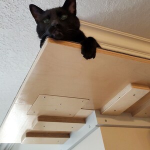 Wally Wraparound, Cat Wrap Around Corner Wall Mounted Shelf, Outside ...