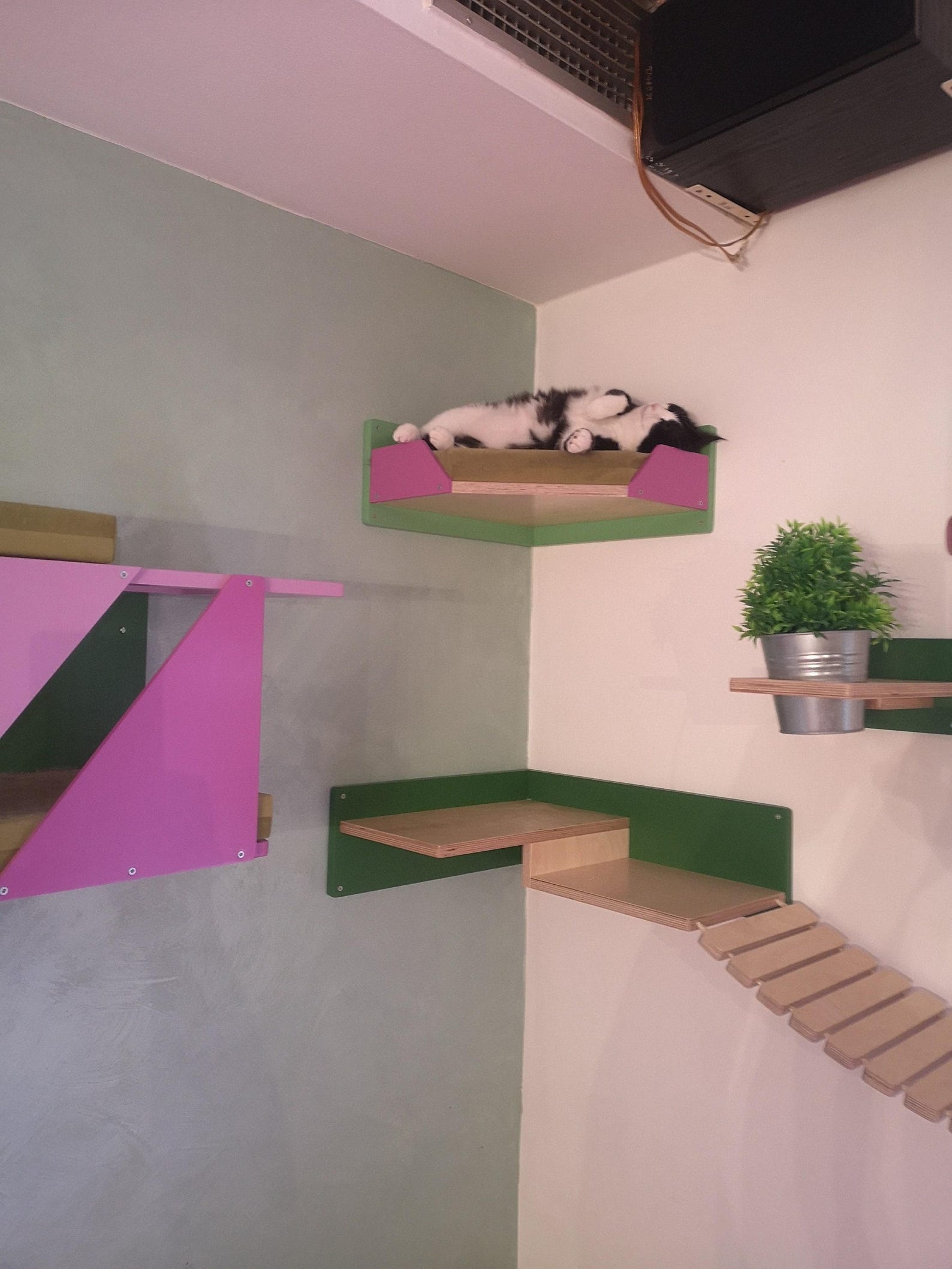 Wally Bigcat Corner Plus - L Wall-mounted Cat Corner Shelf With Cushion ...