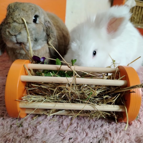Bunny Enrichment Feeder - Etsy